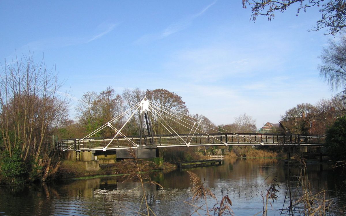 A Newcomen Member’s Guide to “The Saltscape” – Newcomen.com